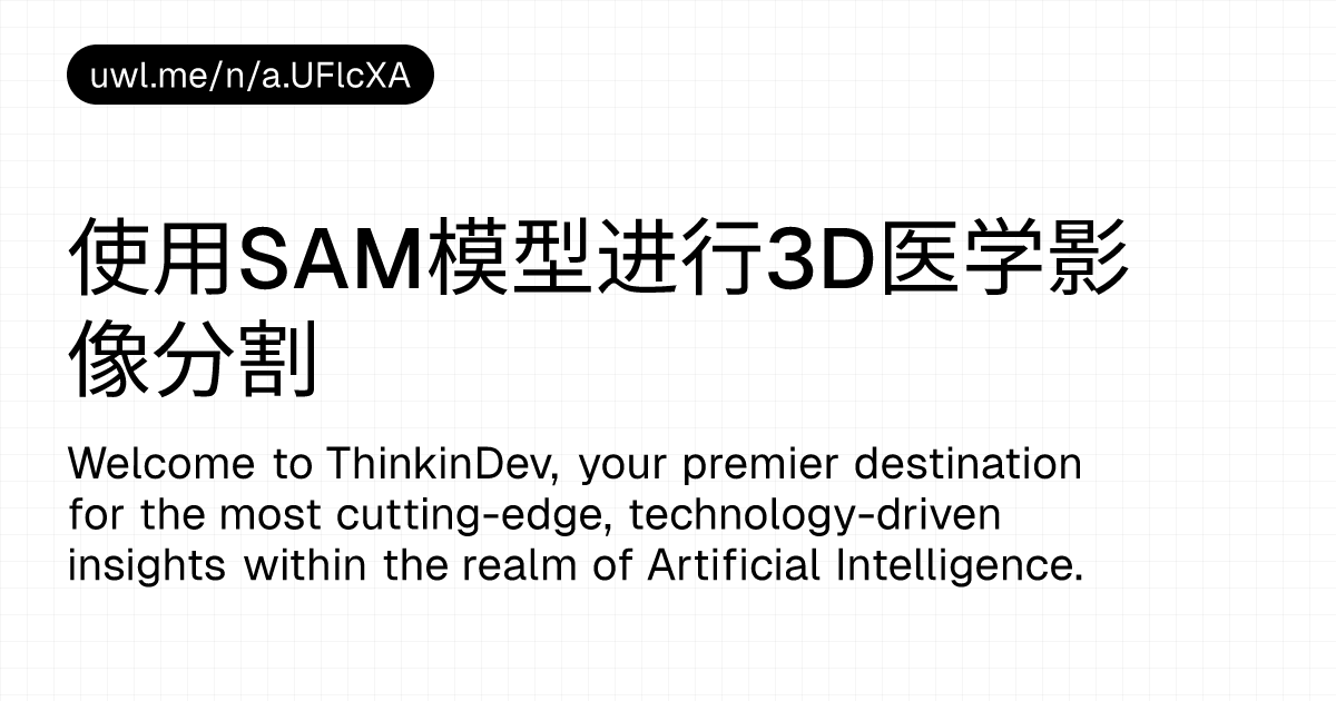 使用SAM模型进行3D医学影像分割 — 漫话开发者 - UWL.ME